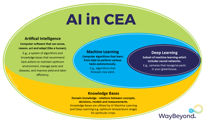 Applying AI To CEA (Controlled Environment Agriculture)
