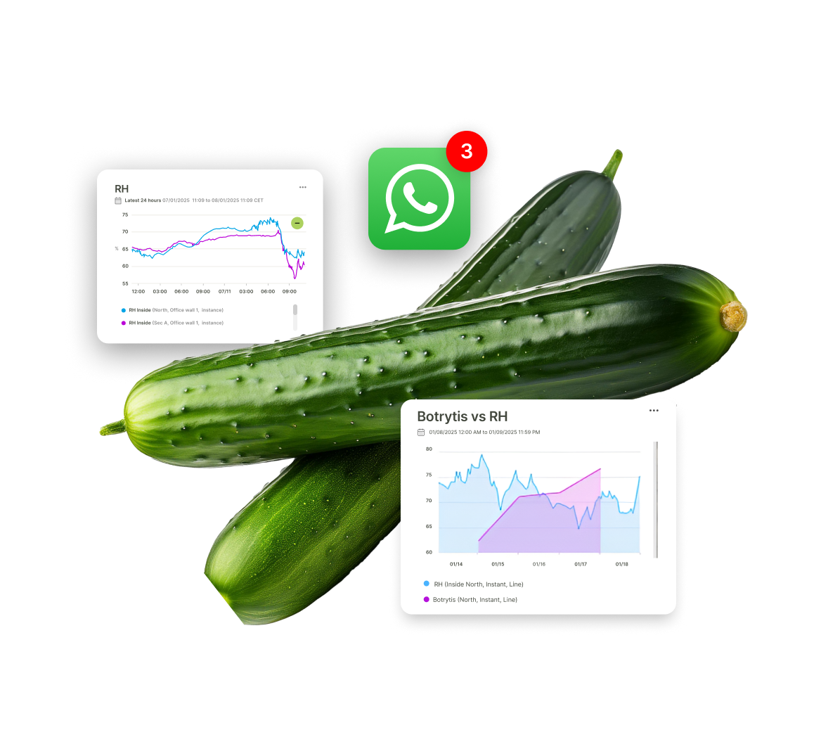 Unlock your high-value crop production with digital agronomy