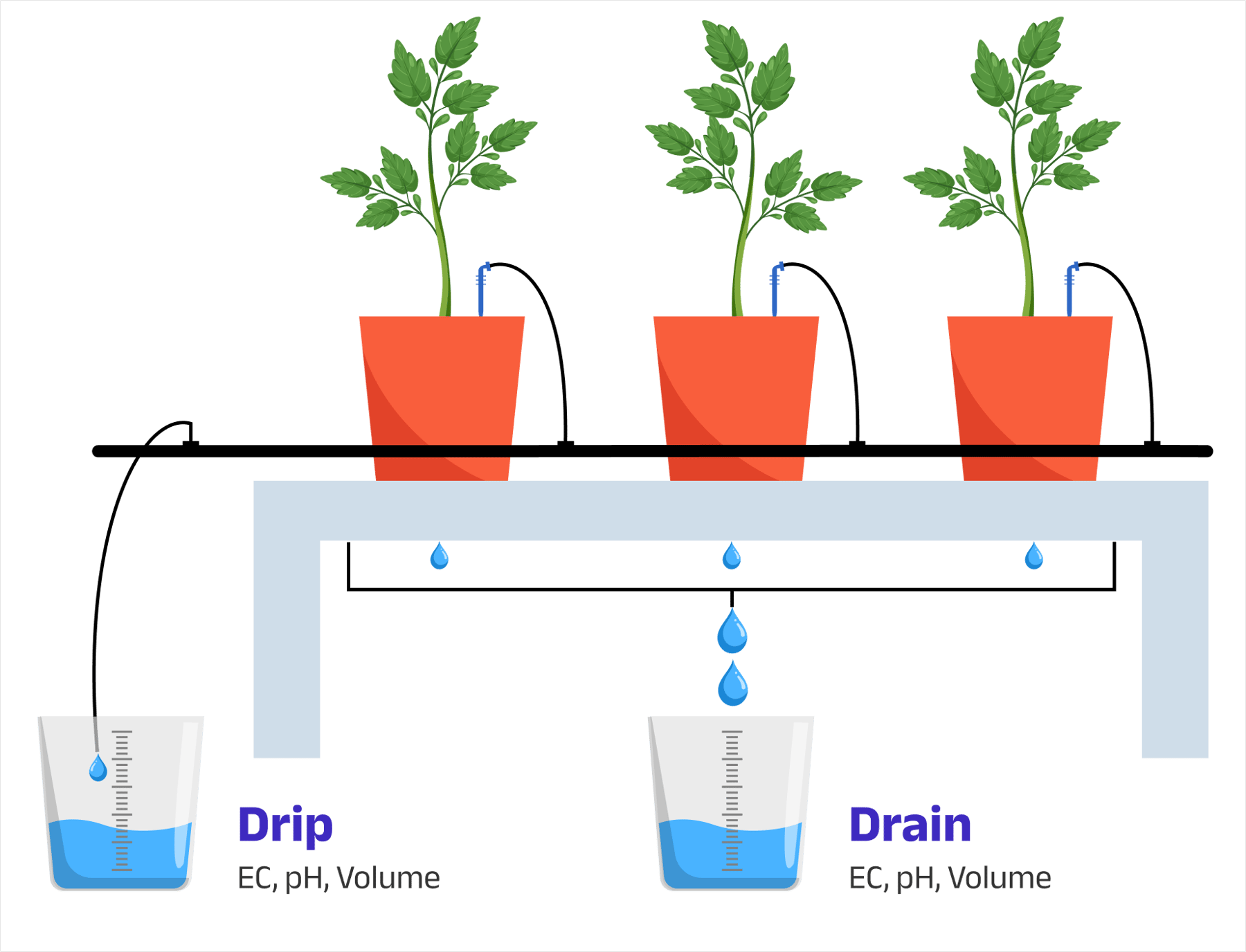 The grower’s guide to drip and drain monitoring
