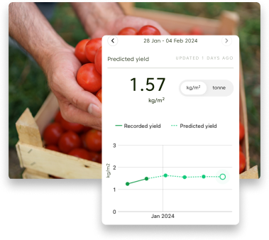 Crop Yield Prediction Software for Harvest Forecasting