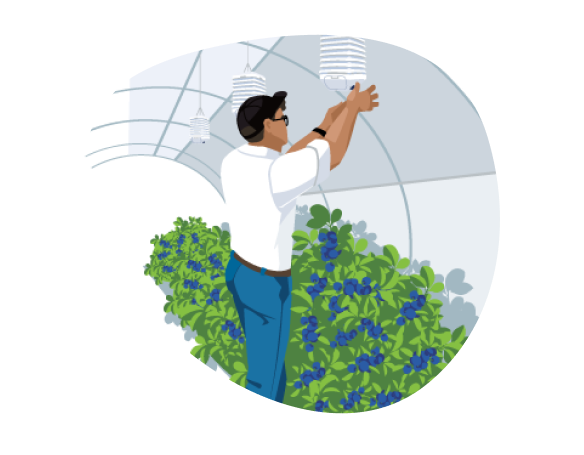 Case study: African Blue improves crop management