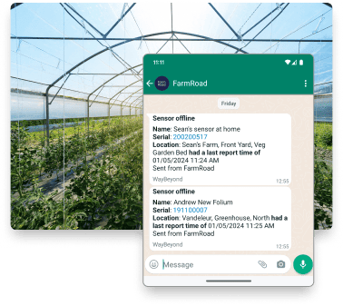 Unlock your pepper production with digital agronomy