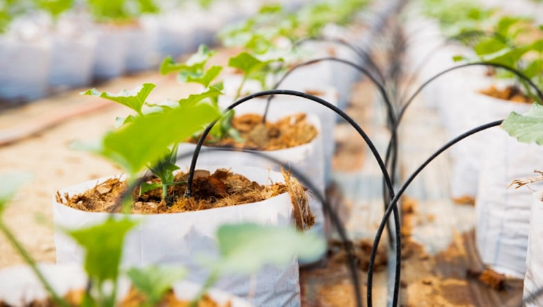 The grower’s guide to drip and drain monitoring