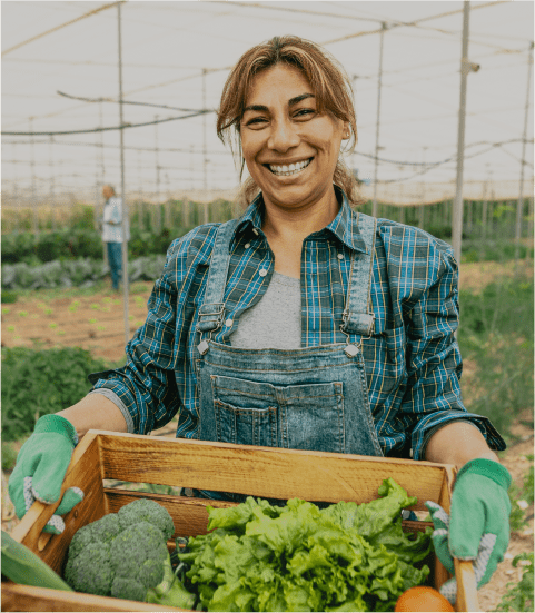 WayBeyond champions modern crop management for protected cultivation