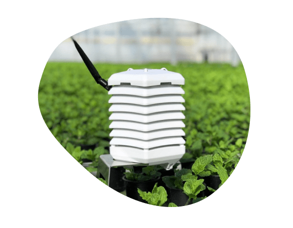 Smart Greenhouse Sensors for Climate Monitoring