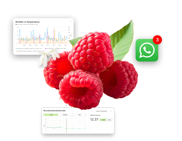 Unlock your high-value crop production with digital agronomy