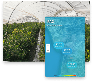 Unlock your high-value crop production with digital agronomy