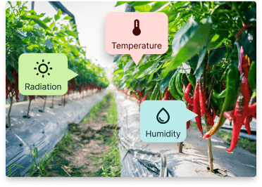 Monitor plant health in real-time and optimize yield with FarmRoad