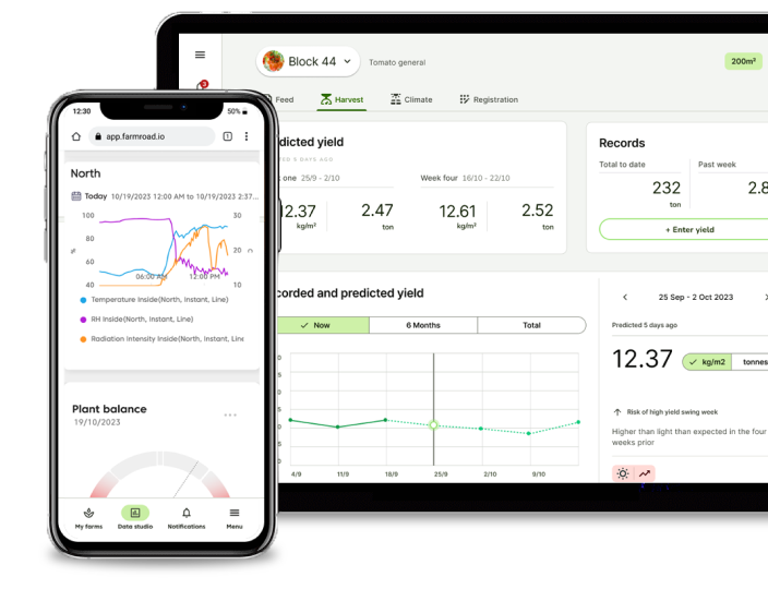 Unlock your tomato production with digital agronomy