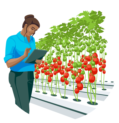 Crop Registration App, Crop Data Record Keeping System