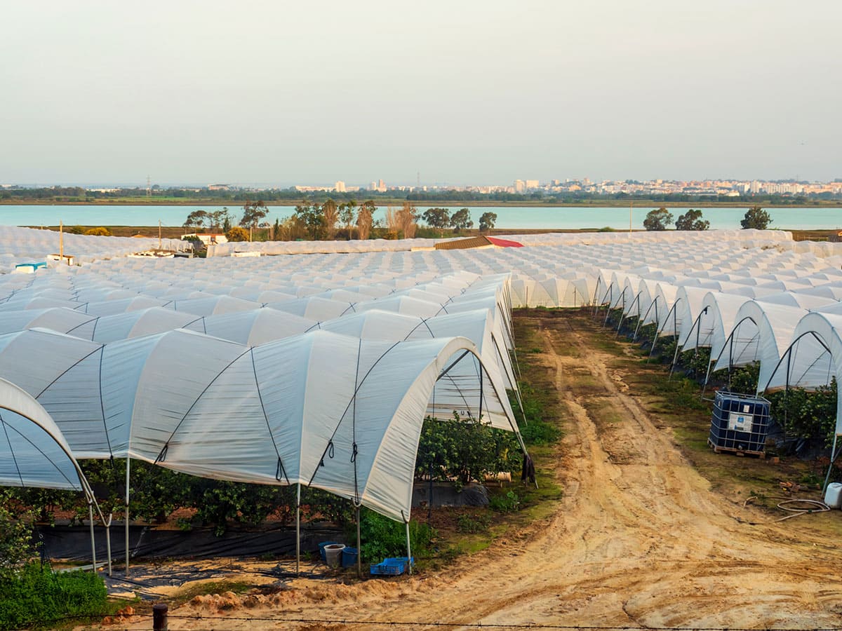 Understand your microclimates for optimal crop growth with FarmRoad