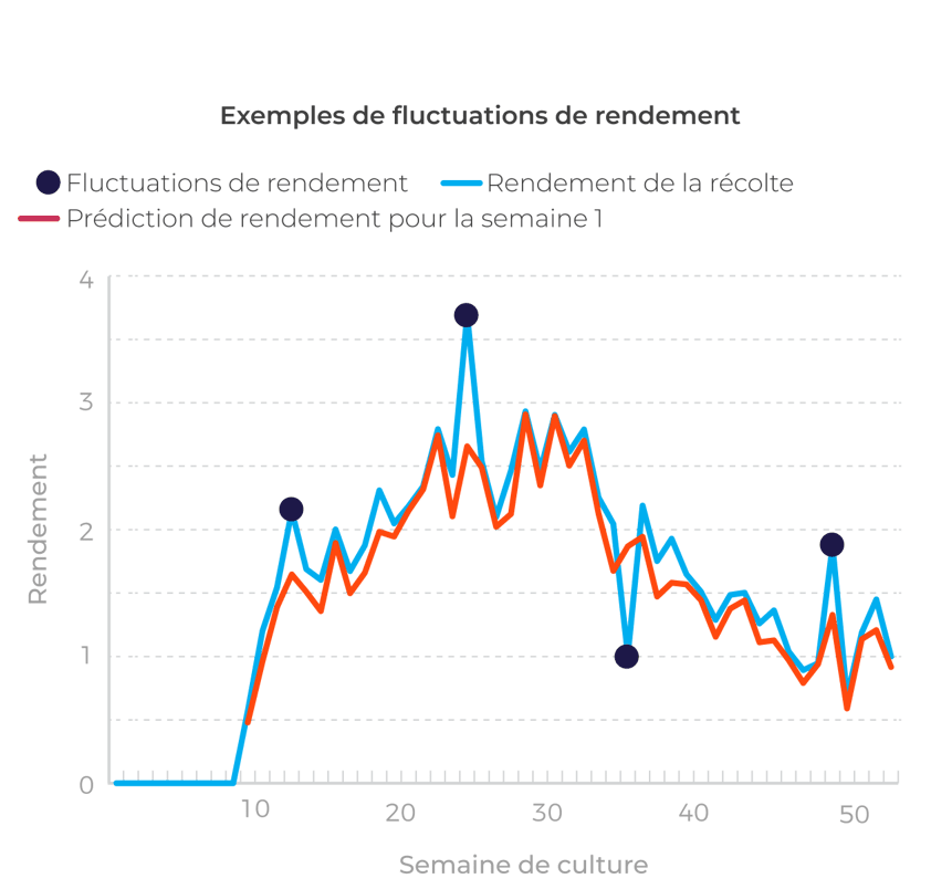 Livre blanc : Au-delà de la prédiction du rendement